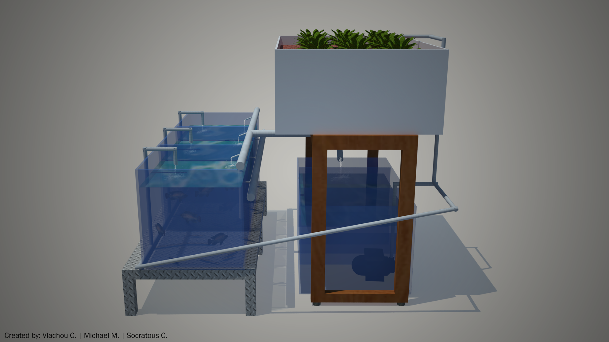 Ενυδρειοπονία: ψάρια και φυτά μαζί – Thessaly Science Festival